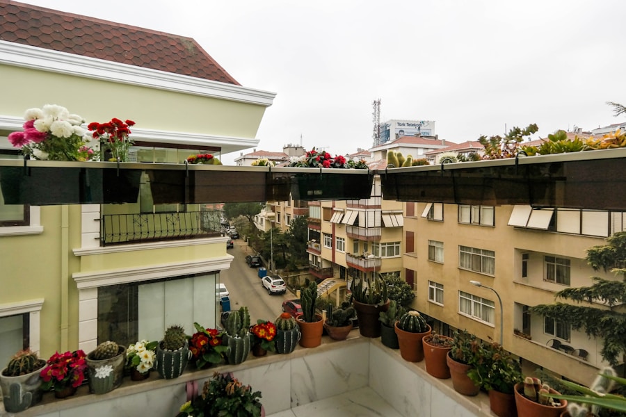 Transform Your Balcony into a Miniature Botanical Garden - Gardeners Grail