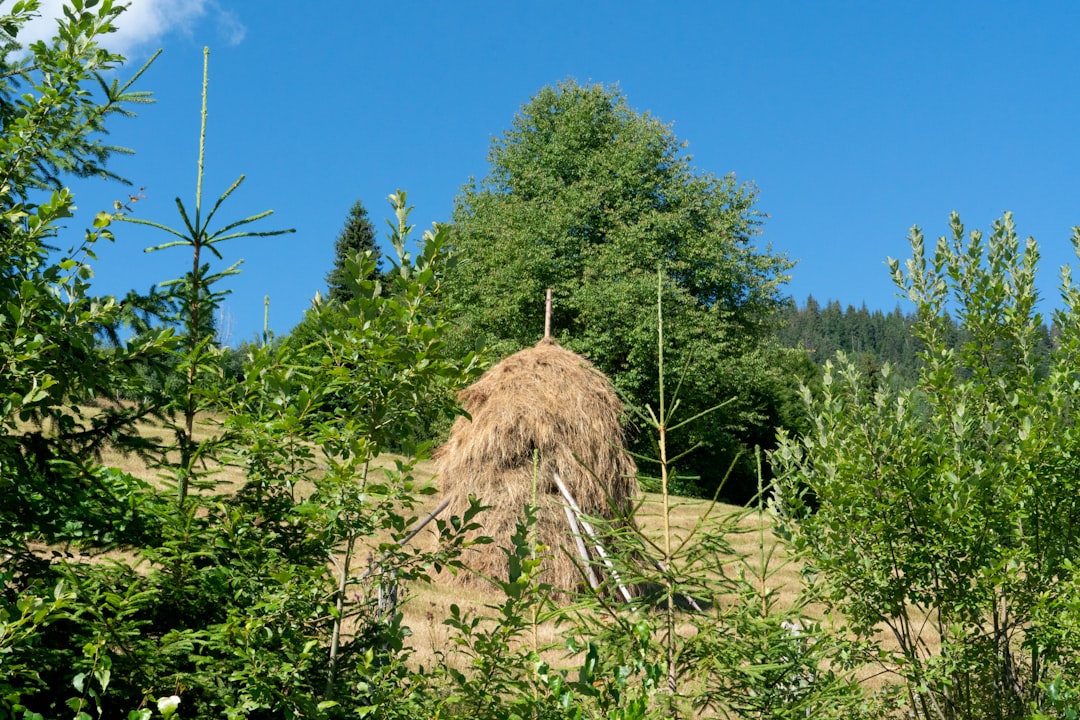 A Beginner’s Guide to Building a Permaculture Mound - Gardeners Grail