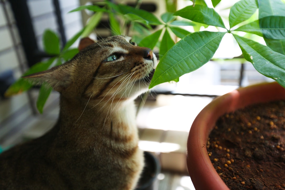 Companion Planting 101: The Ultimate Permaculture Guide - Gardeners Grail