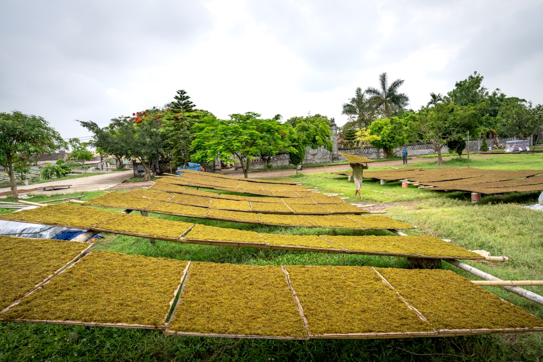 From Lawn to Land: A Step-by-Step Guide to a Permaculture ...